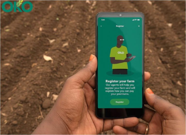 OKO secures a six-digit round led by Catalyst Fund to scale climate ...